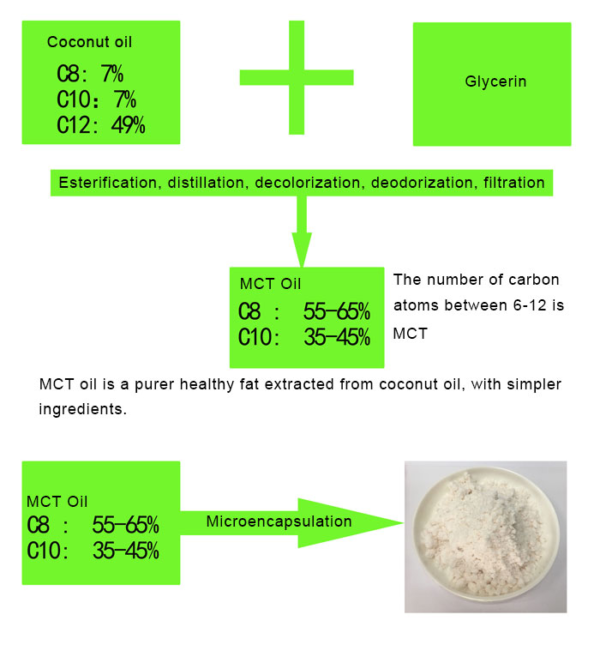 Что такое MCT Oil Powder? - Longchang Chemical